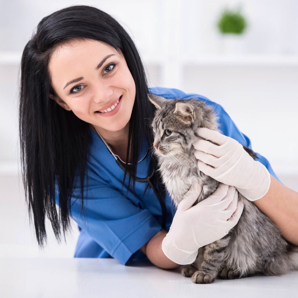 Home - Smith Animal Clinic